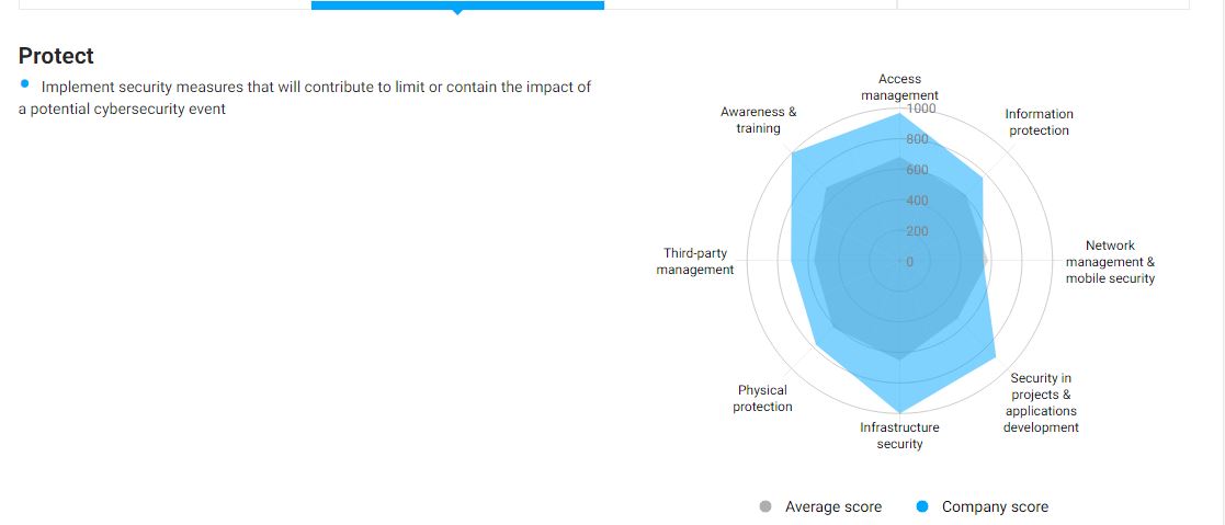 IT security review: Cybervadis report