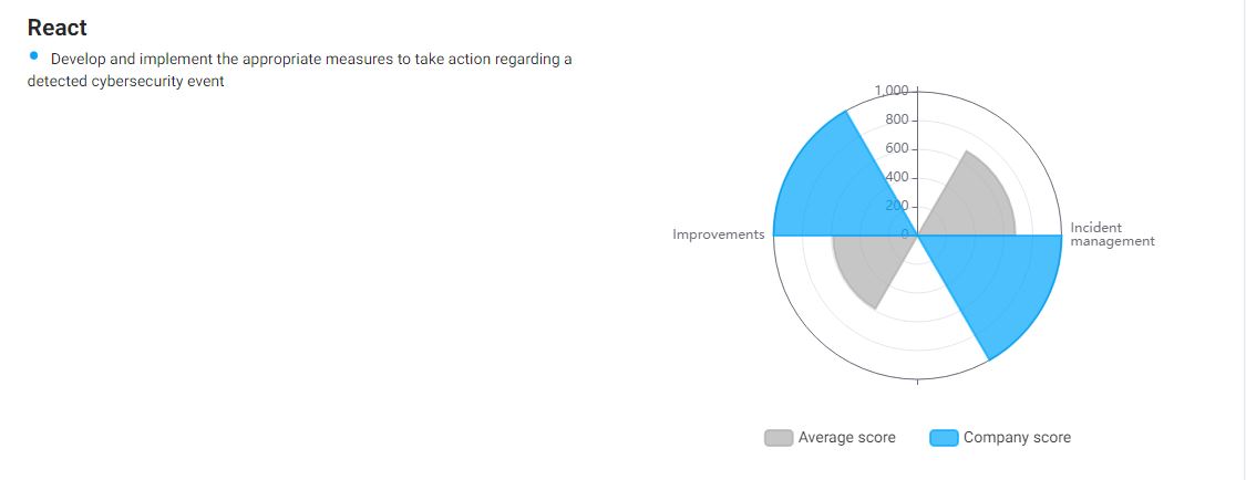 IT security review: Cybervadis report